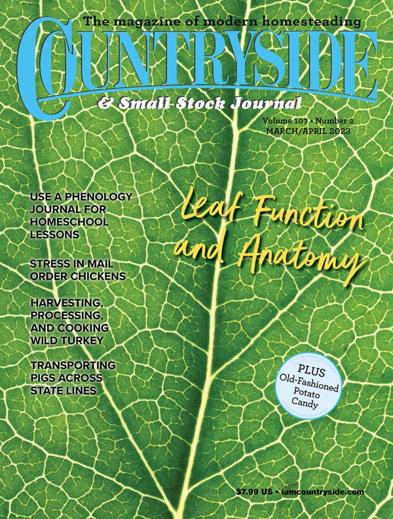 Countryside March/April 2023 - Countryside